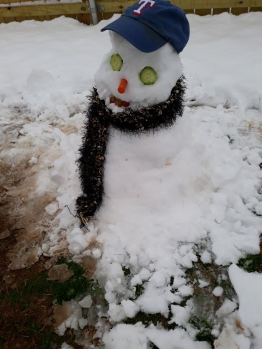 “Plowboys and Snowmen” – Notes From The Cactus Patch