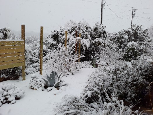 Fort Worth Christmas Stories: A Journey Back to Santa – Notes From The ...